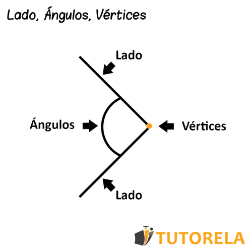Lados, vértices, y ángulos | Tutorela